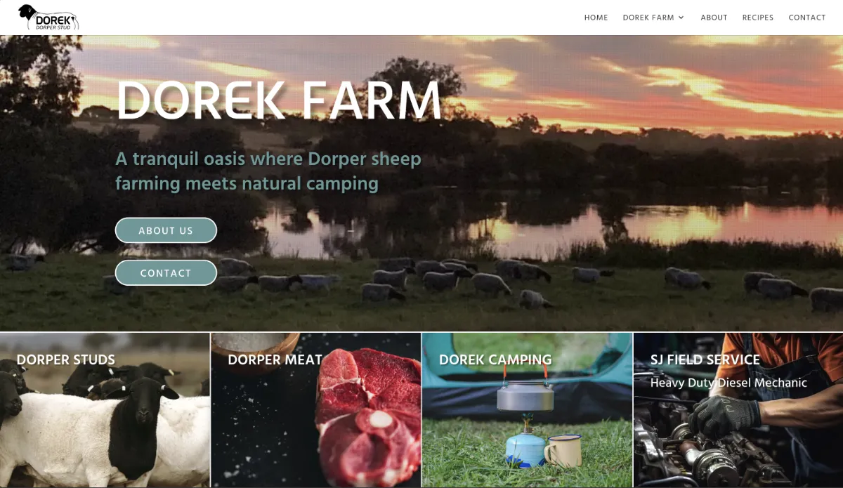 Dorek Farm - Where Dorper sheep farming meets Natural Camping